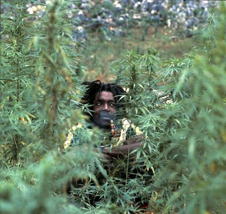 “Liamba” é a droga mais consumida em África - KilambaNews - O site da ...